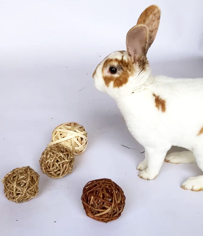 All Natural Grass Balls for Rabbits and Small Animals | Dahlia Pets