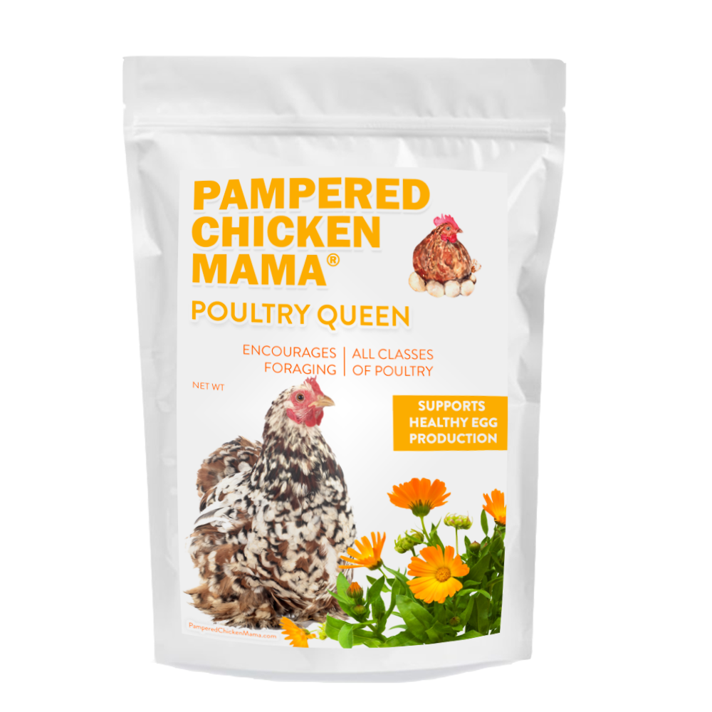 Backyard Chicken Treats | Dahlia Pets