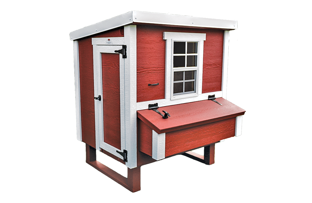 Medium Chicken Coop - Up to 10 Chickens | Dahlia Pets