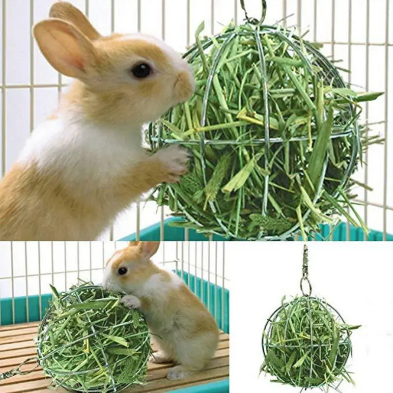 Hanging Rabbit Food Dispenser, Rabbit Grass Ball | Dahlia Pets