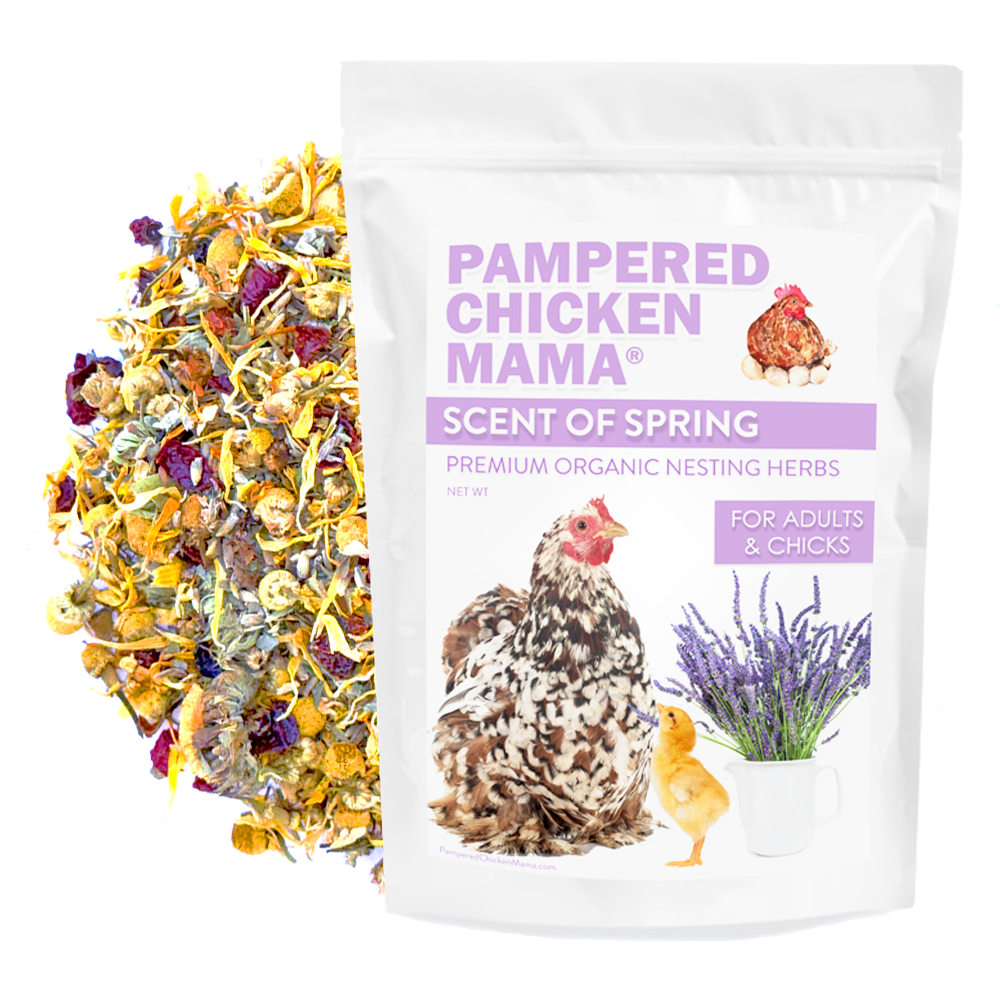 Scent of Spring Nesting Herbs For Backyard Chickens With Lavender, Cha ...