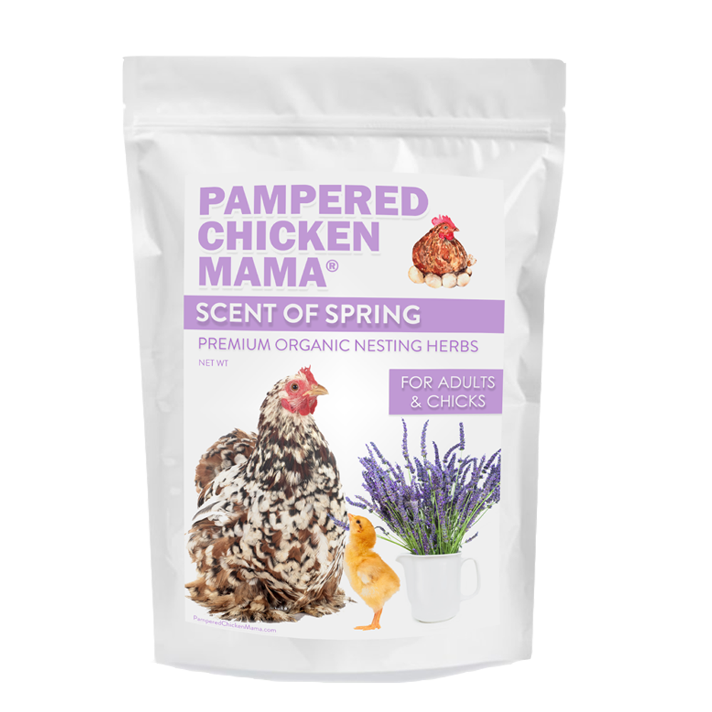 Scent of Spring Nesting Herbs For Backyard Chickens With Lavender, Cha ...