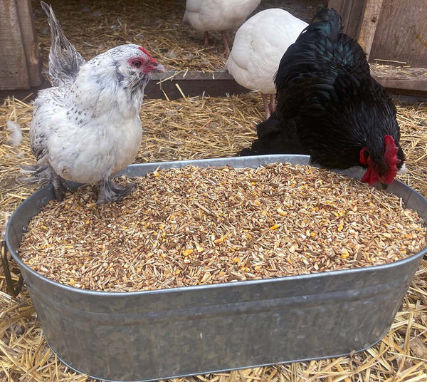 Treat of the Month Club: Premium Chicken Treats Shipped Monthly ...