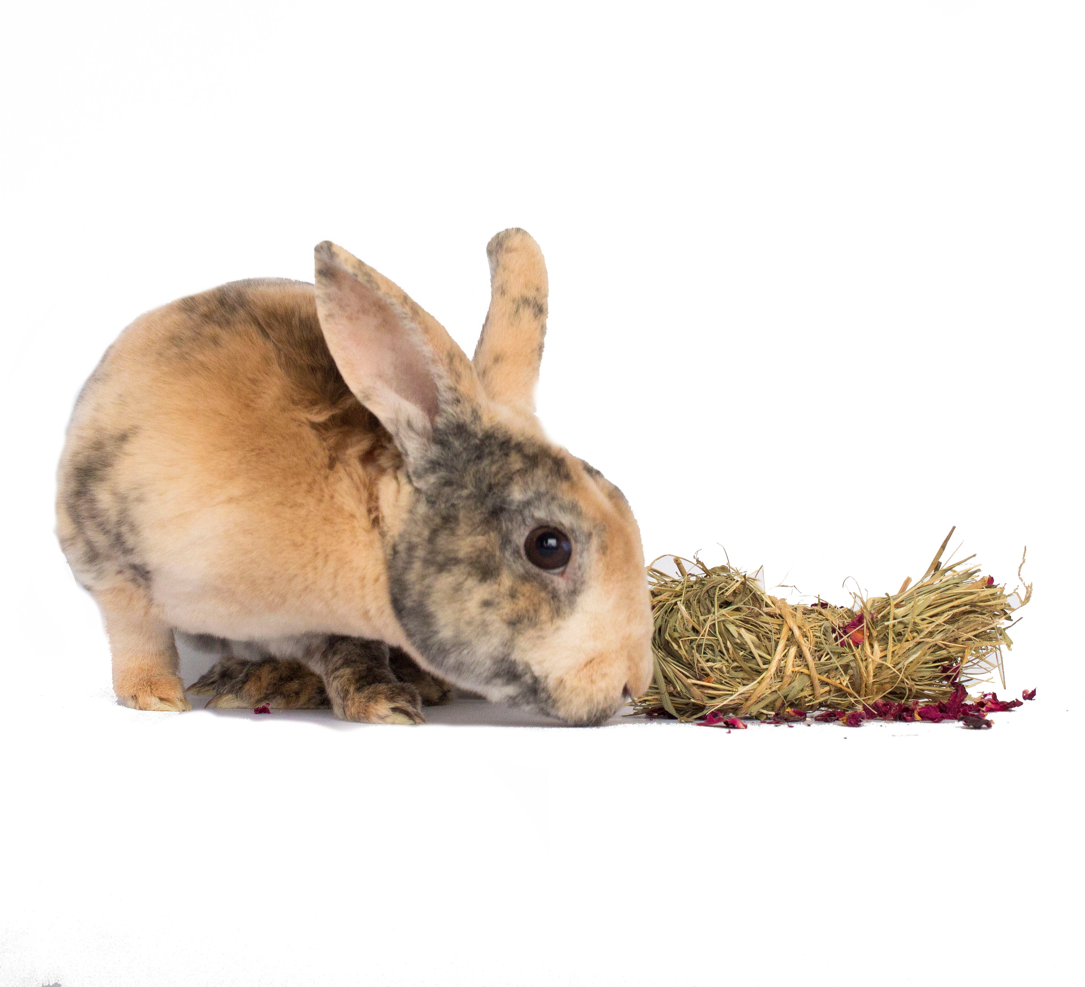 Mini Bale With Rose Petals For Rabbits, Guinea Pigs, Chinchillas, and ...