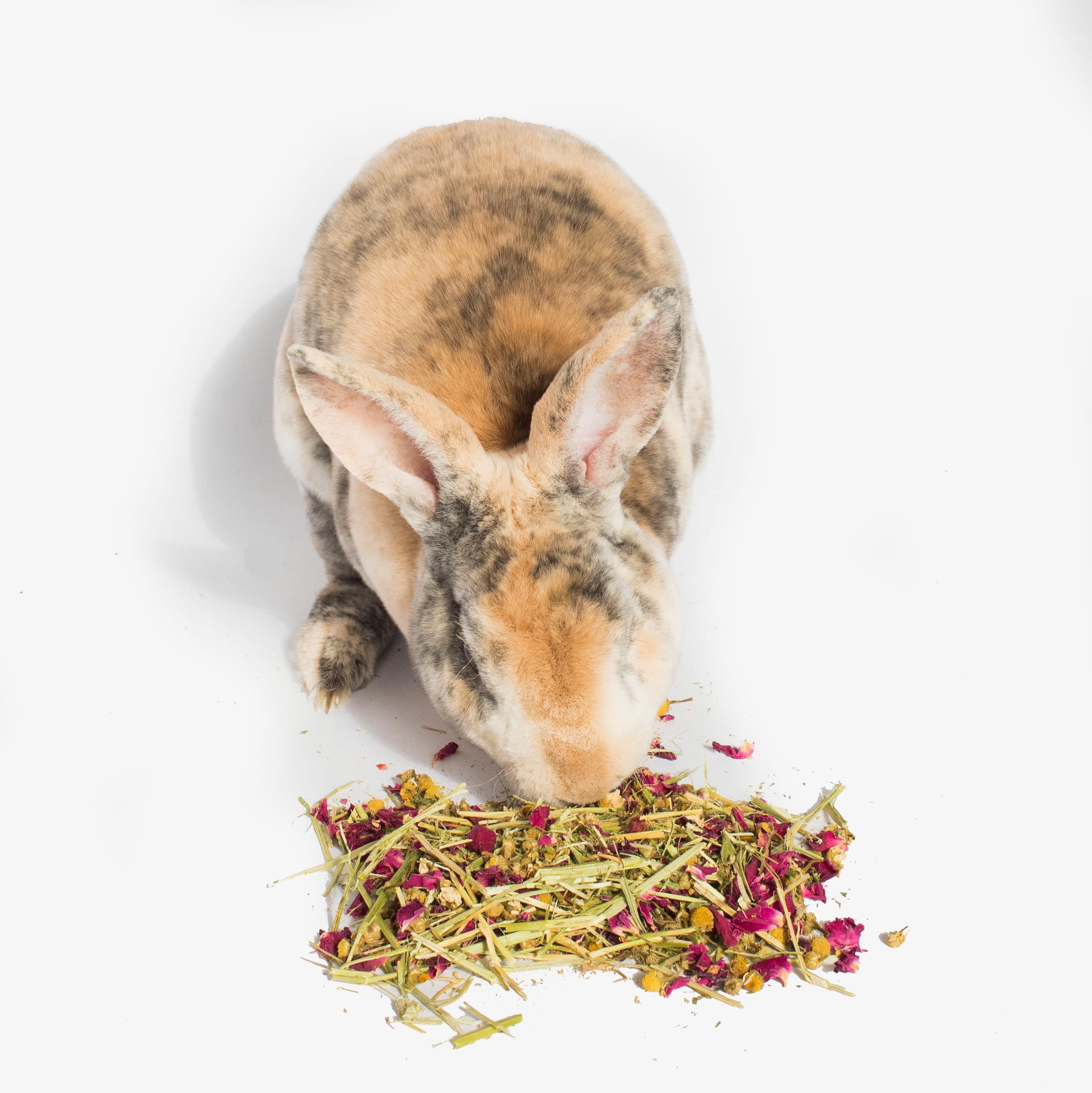 Calming Forage Mix For Rabbits, Guinea Pigs, Hamsters, and Chinchillas ...