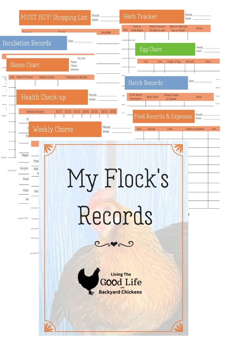 Backyard Chicken Care Record Kit | Dahlia Pets