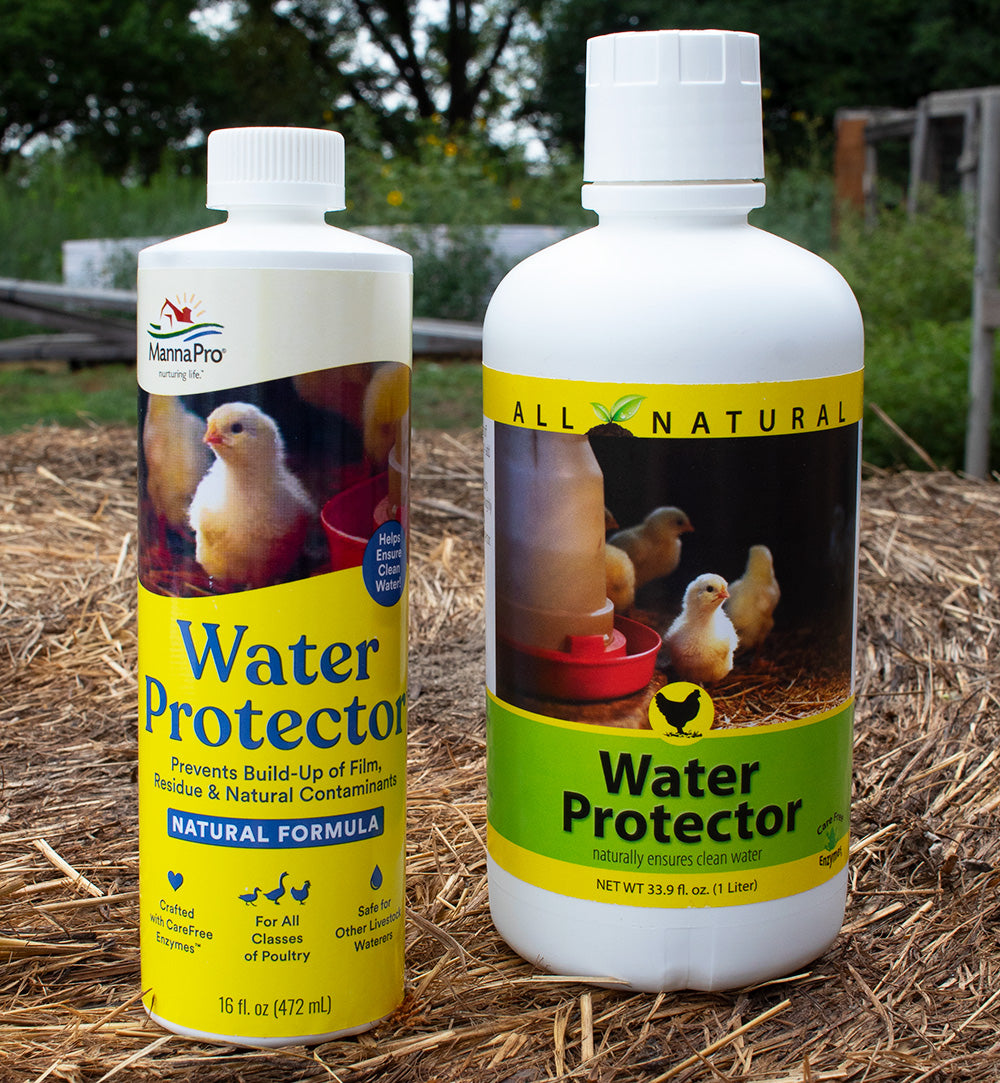 Poultry Water Protector: Keeps Waterers Clean Longer! | Dahlia Pets